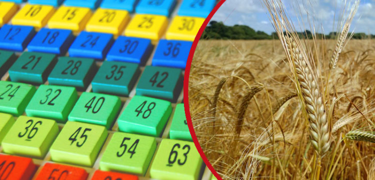 Online Customs Training – UK Customs Academy